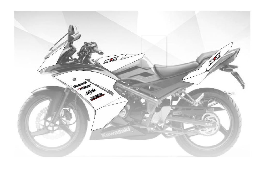 Stripping Kawasaki Ninja Rr New Ngks Indonesia