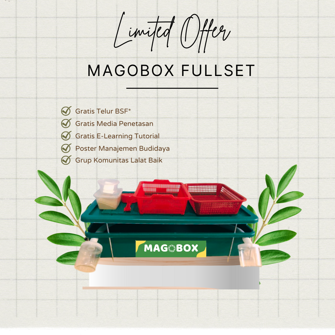 Magobox Fullset - Magobox Official
